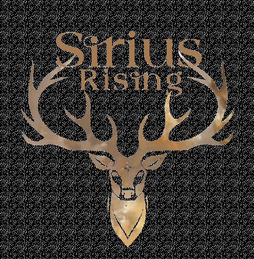 team – SIRIUS RISING LLC
